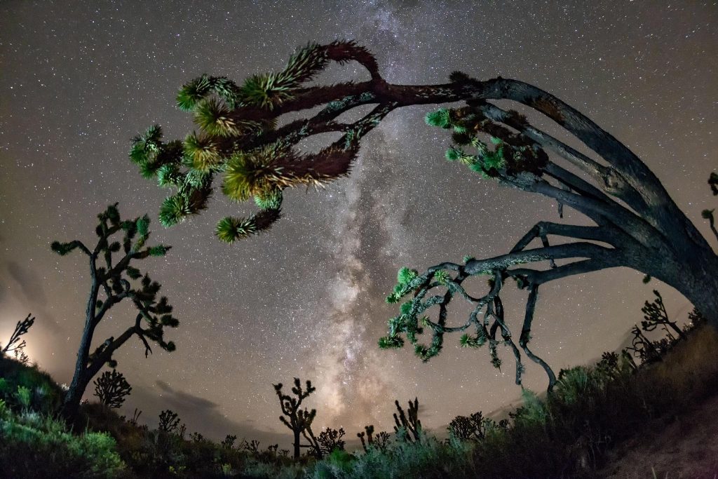 California Milky Way You Can See The Milky Way Galaxy From Earth With